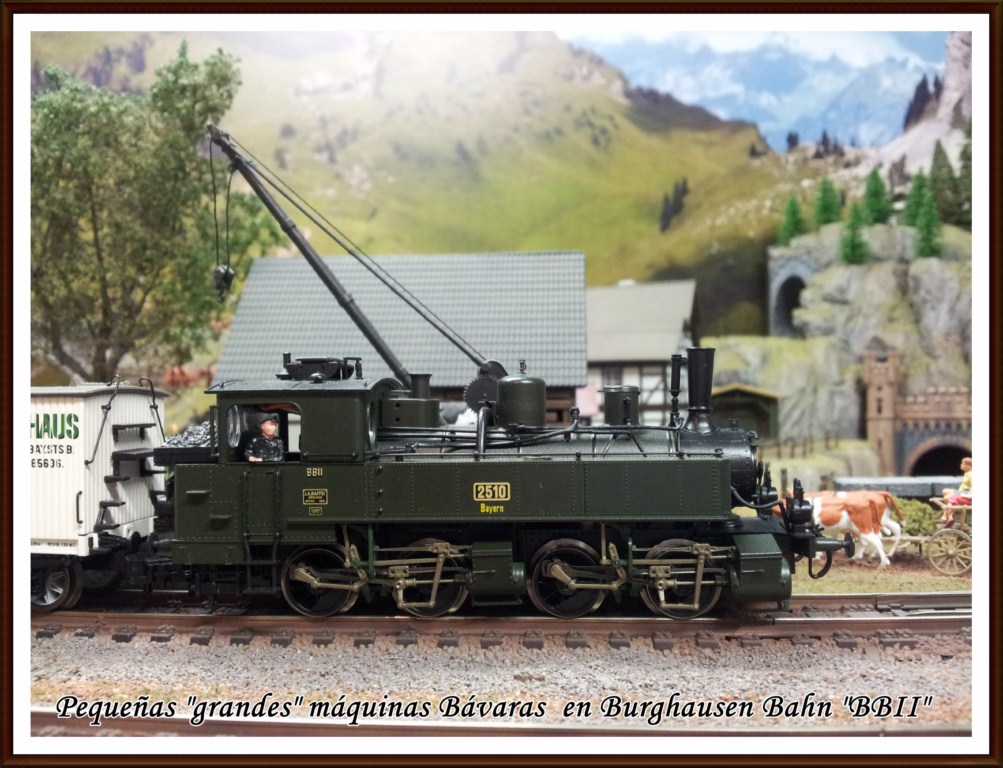 Burghausen Bahn: enero 2013